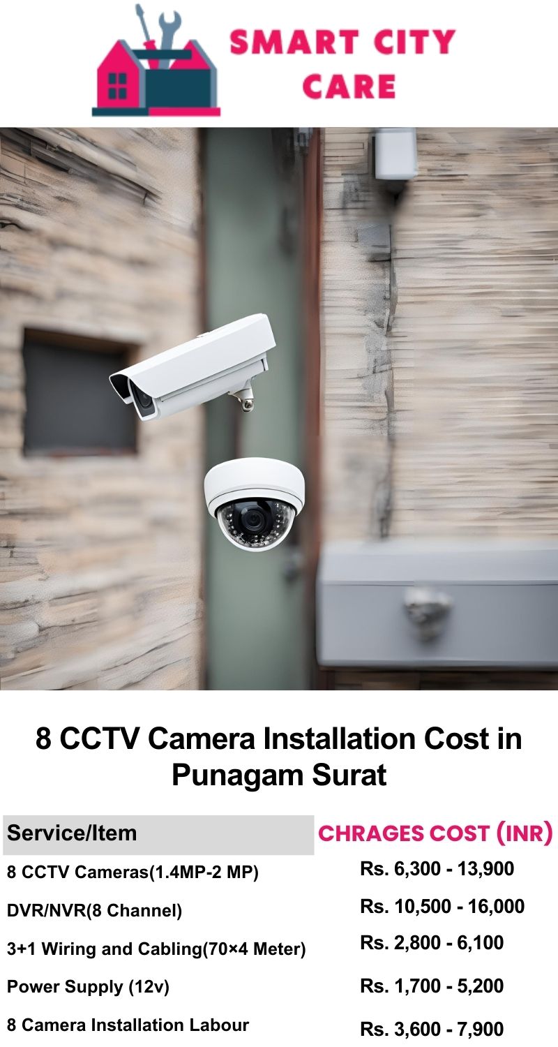Expert CCTV Installation Services in Punagam