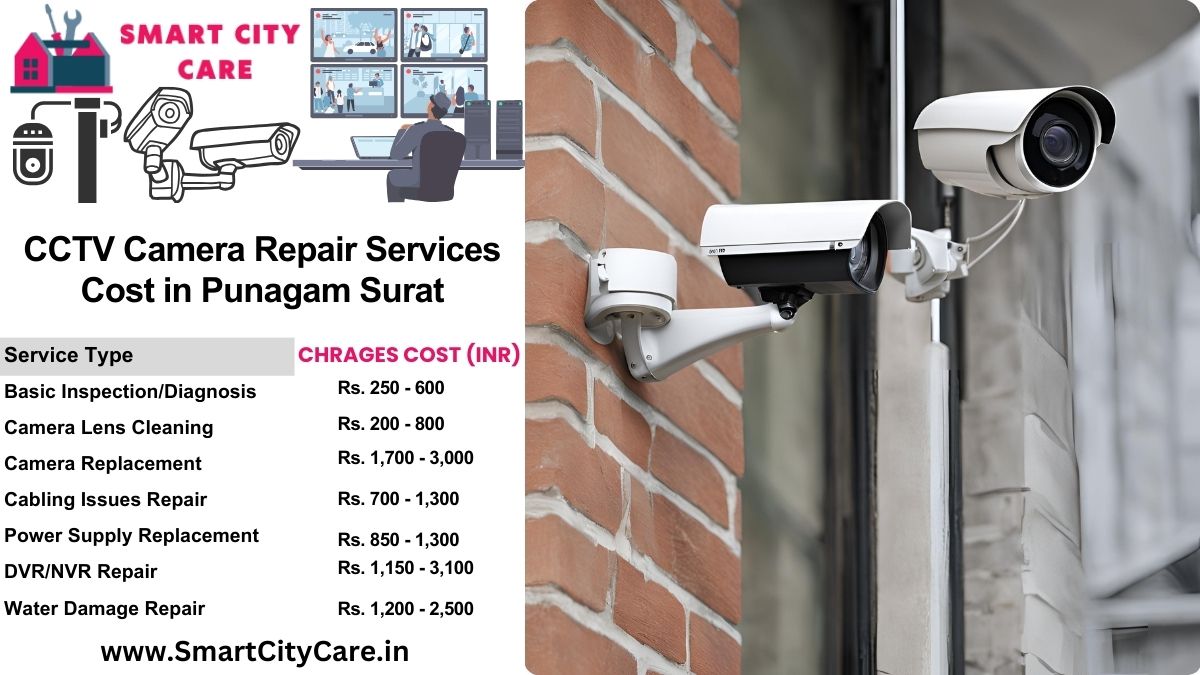 Expert CCTV Installation Services in Punagam